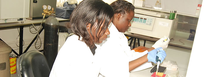 H3Africa Biorepository Program | Biorepository Services in Africa ...